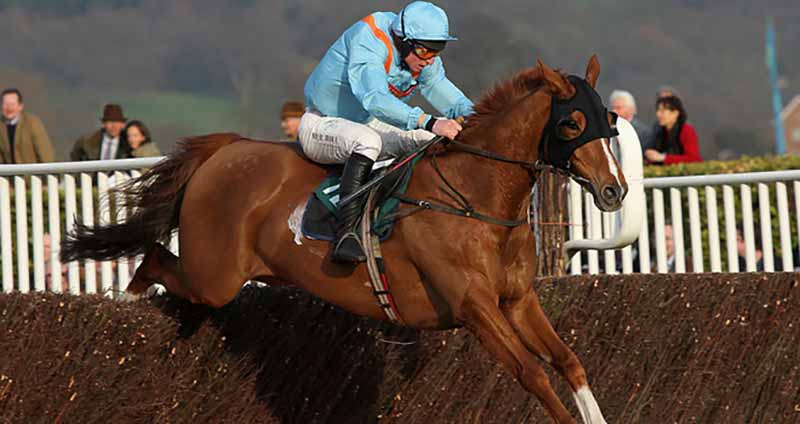 Los caballos más caros del mundo - CaballoToro.com